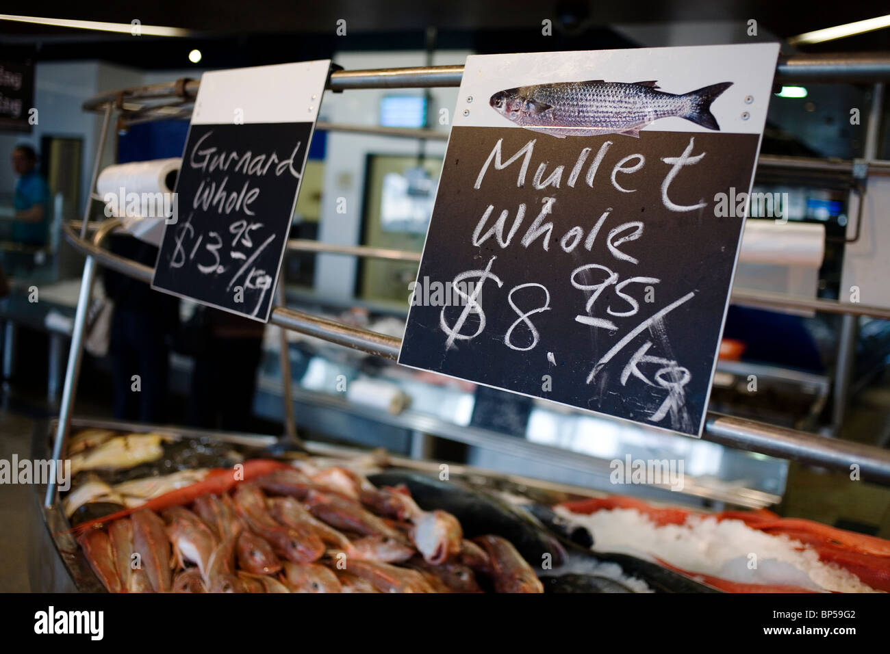 New zealand fish hi-res stock photography and images - Alamy