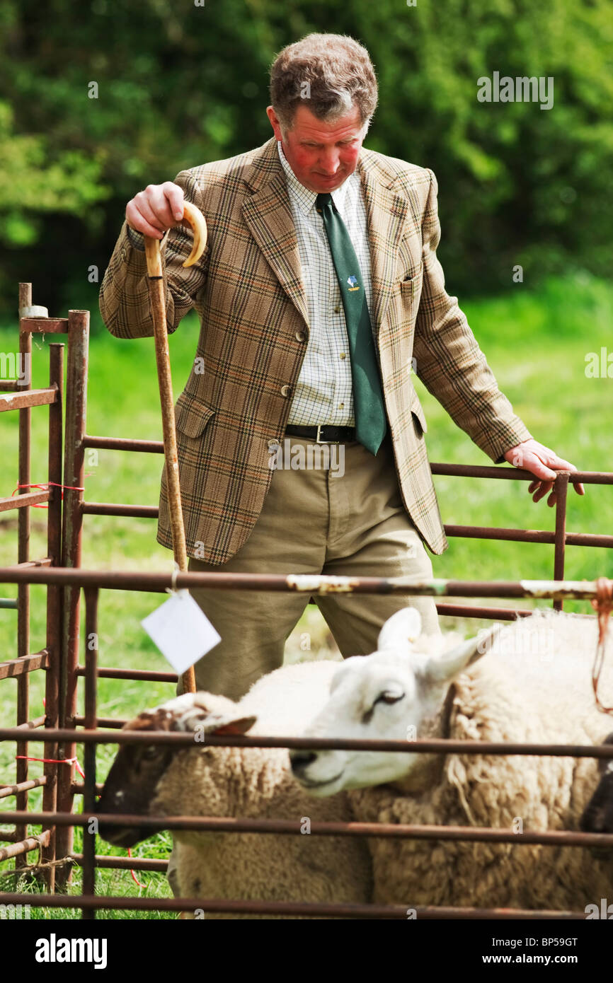 Sheepshow hi-res stock photography and images - Alamy