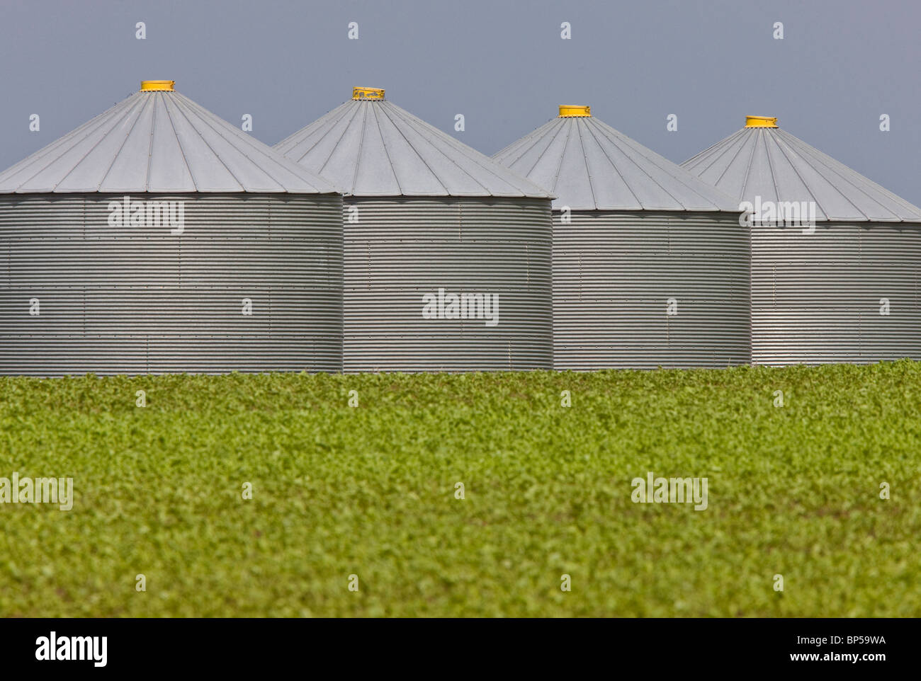Agriculture Storage Bins Granaries Canada Stock Photo - Alamy