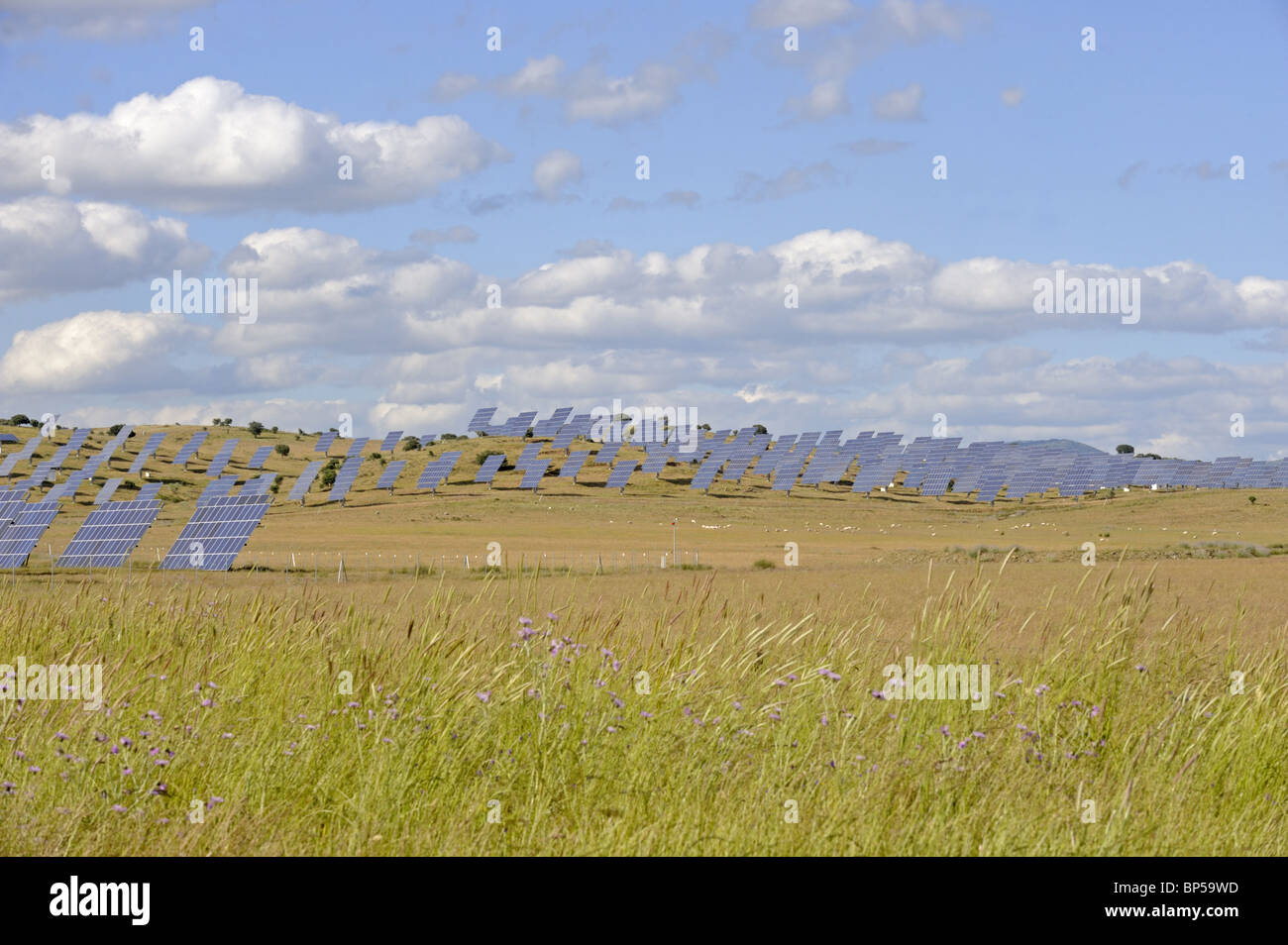 Solar panels in a field Stock Photo - Alamy