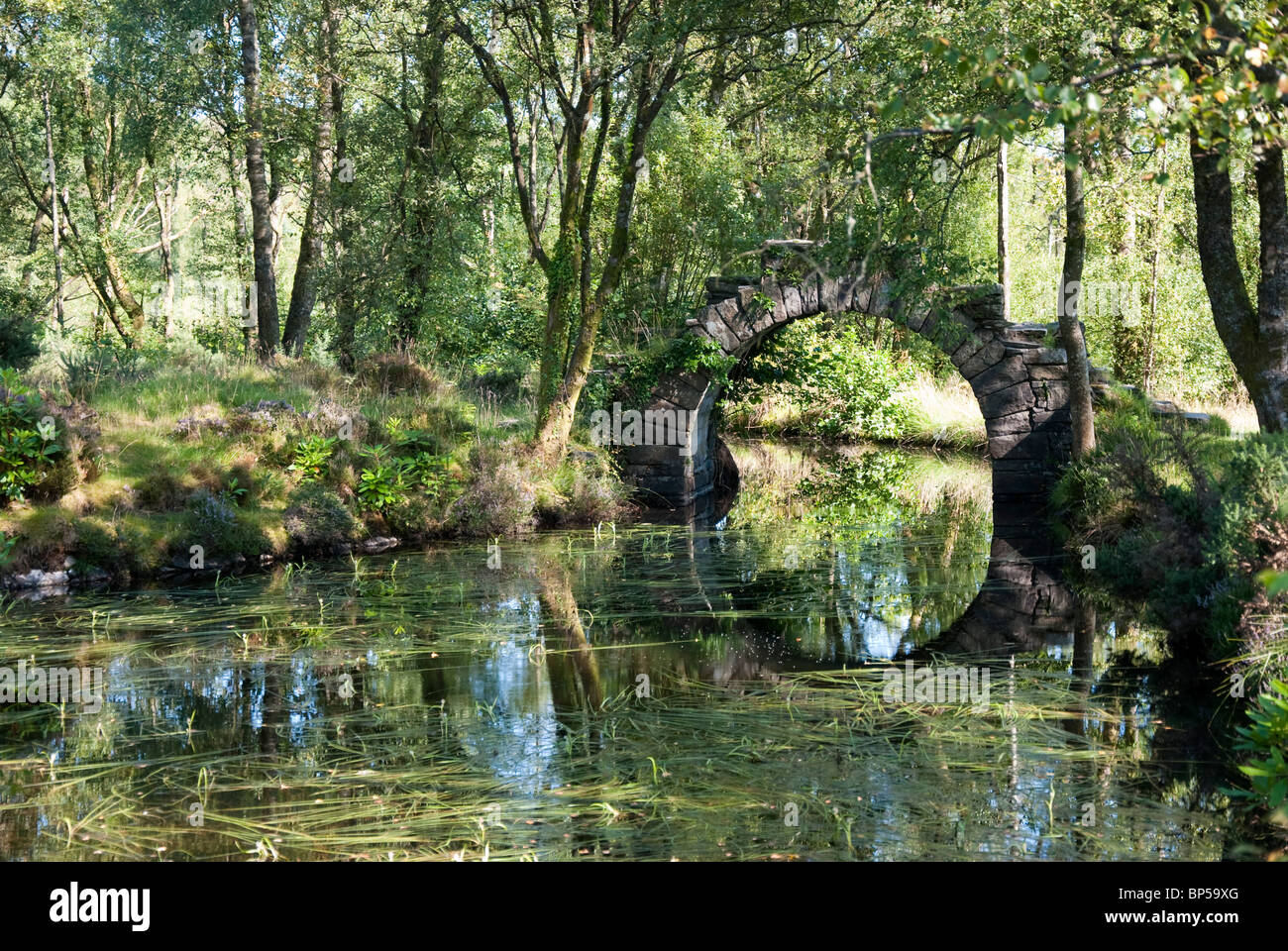 Castle toward dunoon hi-res stock photography and images - Alamy