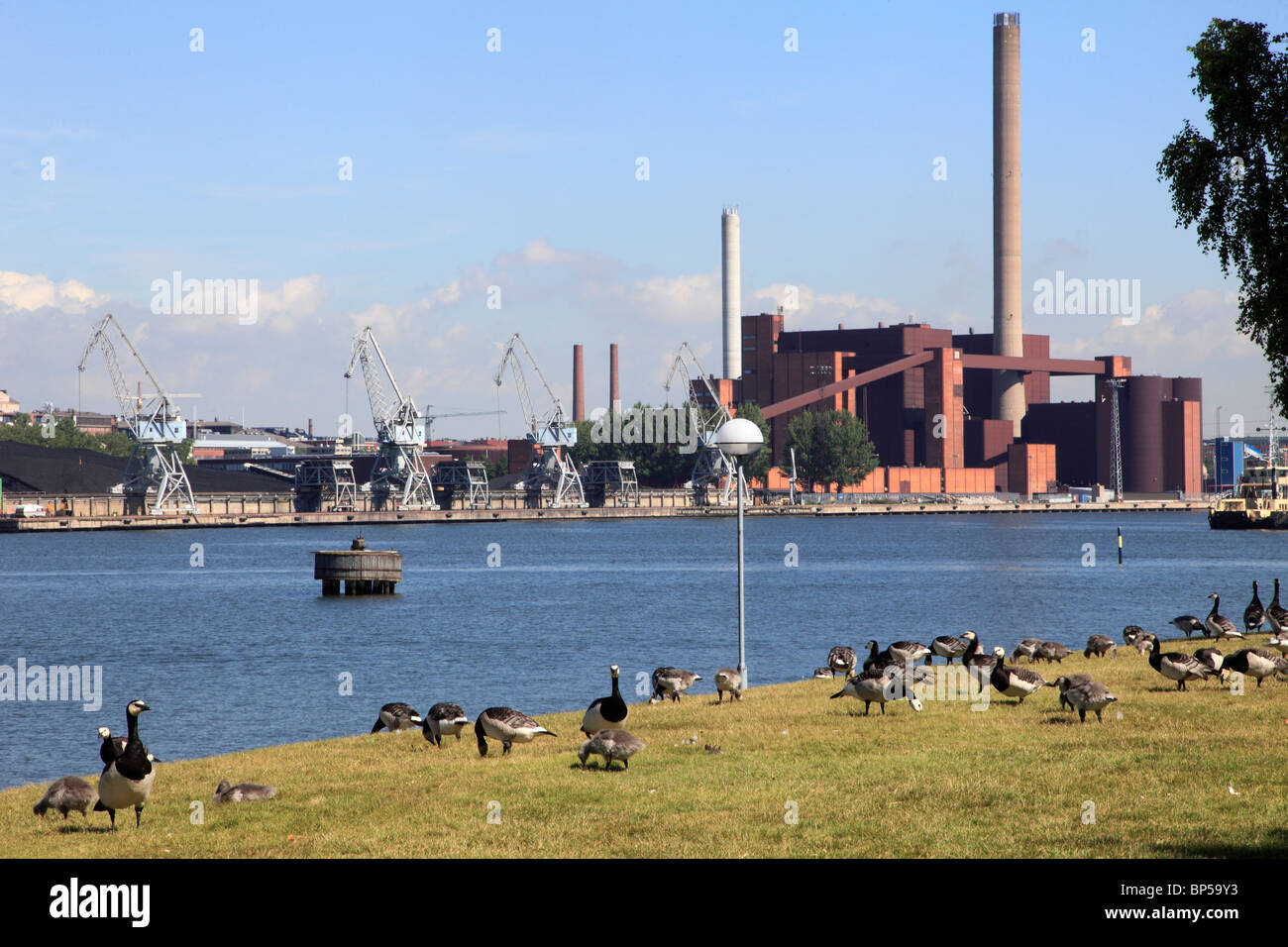 Finland, Helsinki, thermal electric power plant, geese, harbour, park ...