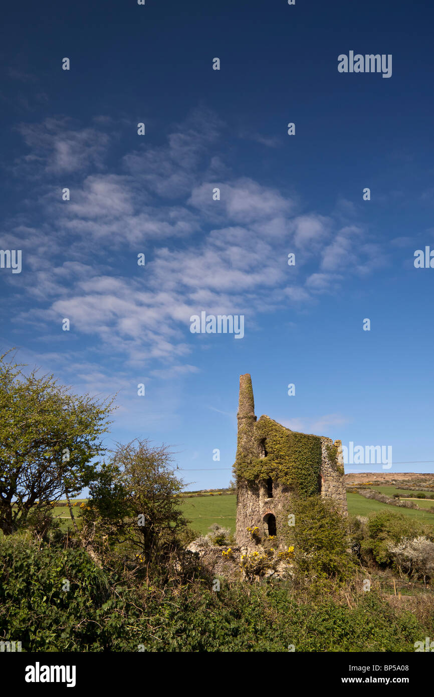 derelic Cornish t tin mine building near Trencom covered in ivy Stock ...