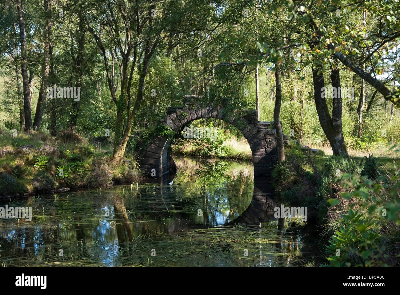The Ivy Bridge at the Chinese Ponds Castle Toward Estate Corlarach ...