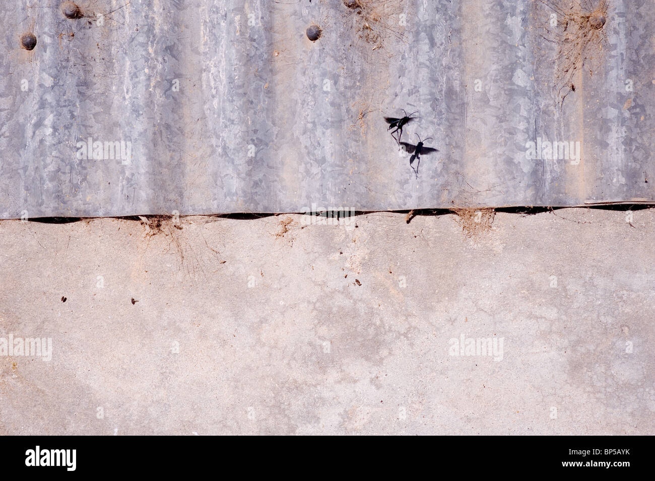 Metal and Concrete Stock Photo - Alamy