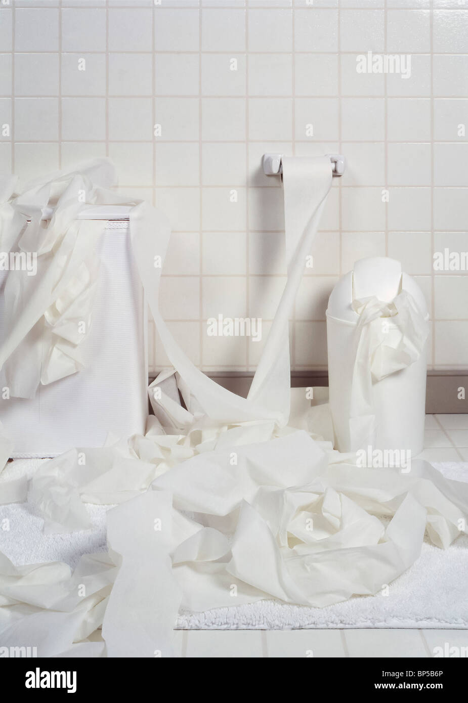 Cat Toilet Paper Stock Photos & Cat Toilet Paper Stock Images - Alamy