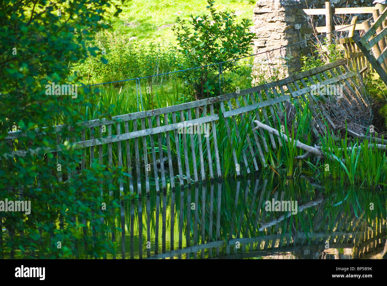 wooden barrier across river Stock Photo - Alamy