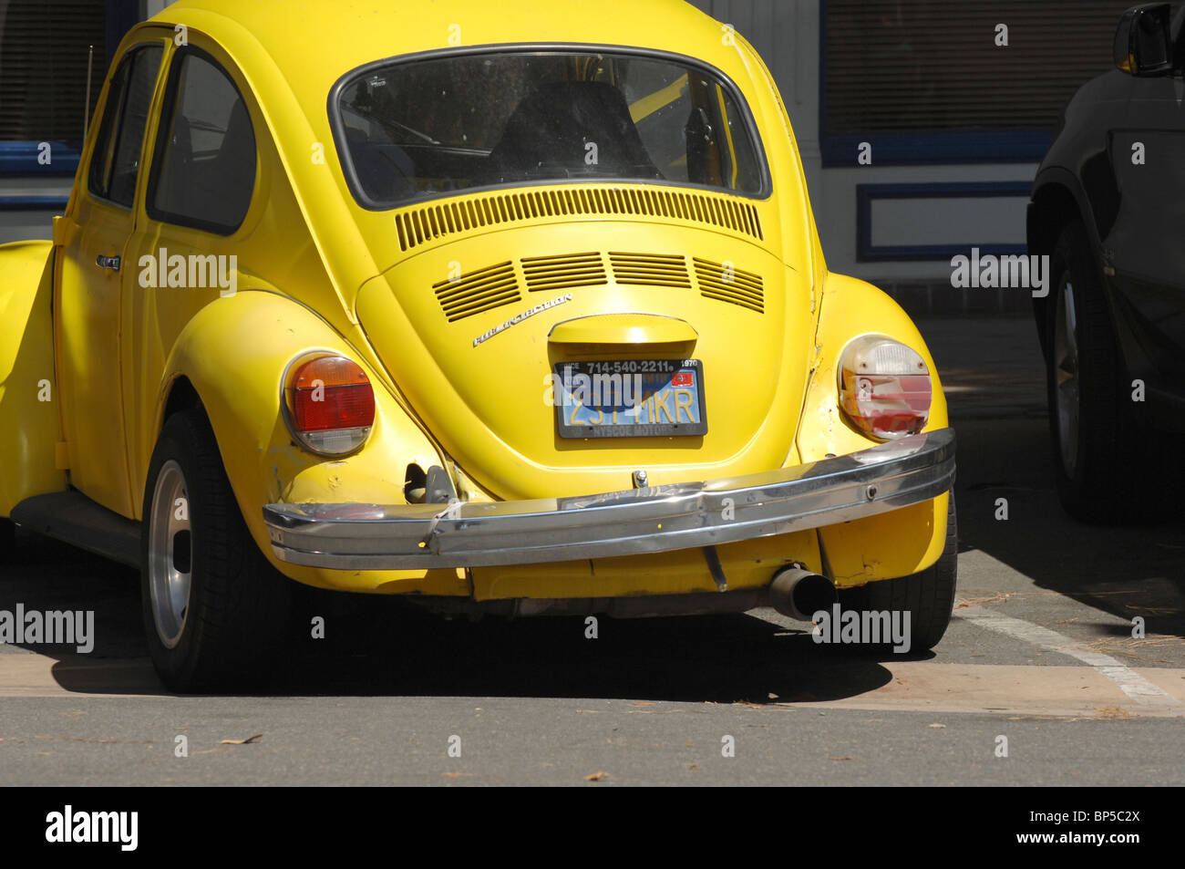 Parts of a beetle hi-res stock photography and images - Alamy