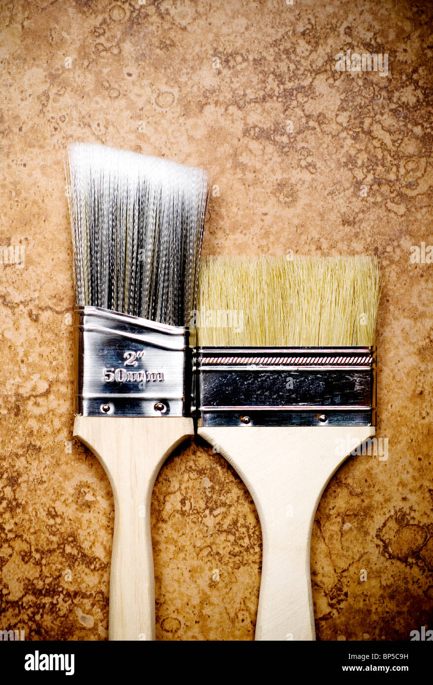 Two different paintbrushes for home improvement projects Stock Photo ...