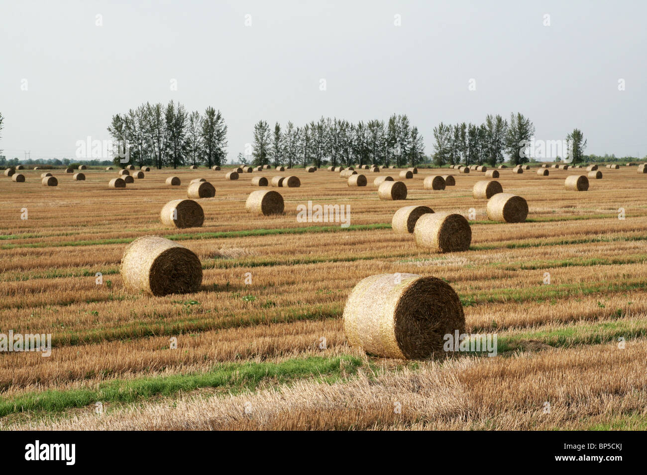 Country bales of hay hi-res stock photography and images - Alamy