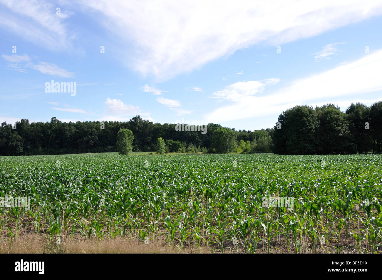 New England countryside, Connecticut, USA Stock Photo - Alamy