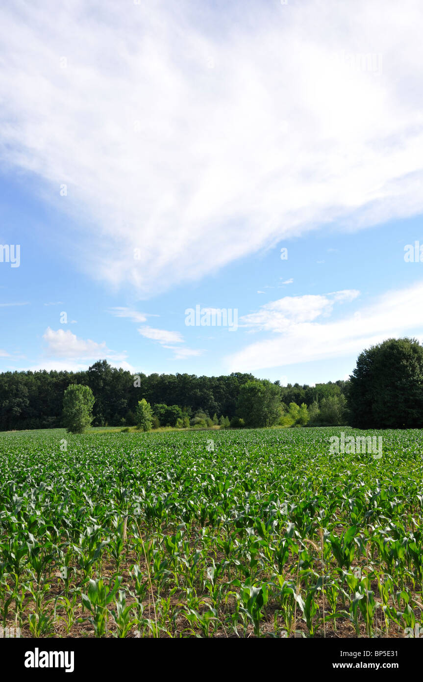 New England countryside, Connecticut, USA Stock Photo - Alamy
