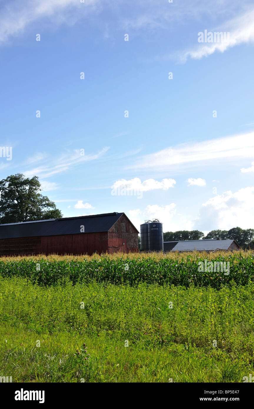 New England countryside, Connecticut, USA Stock Photo - Alamy
