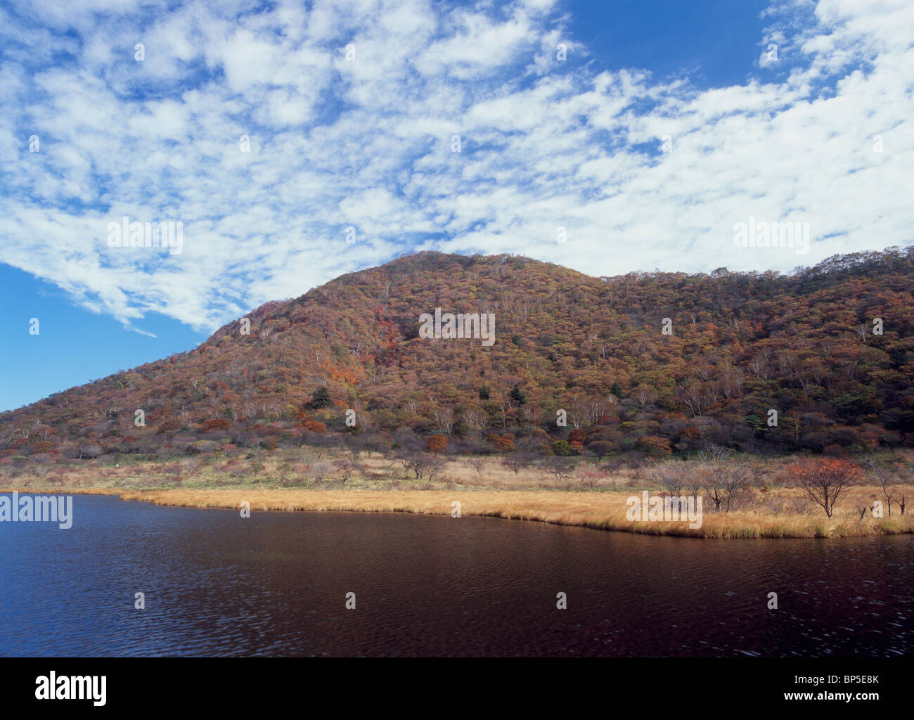 Akagi hi-res stock photography and images - Alamy