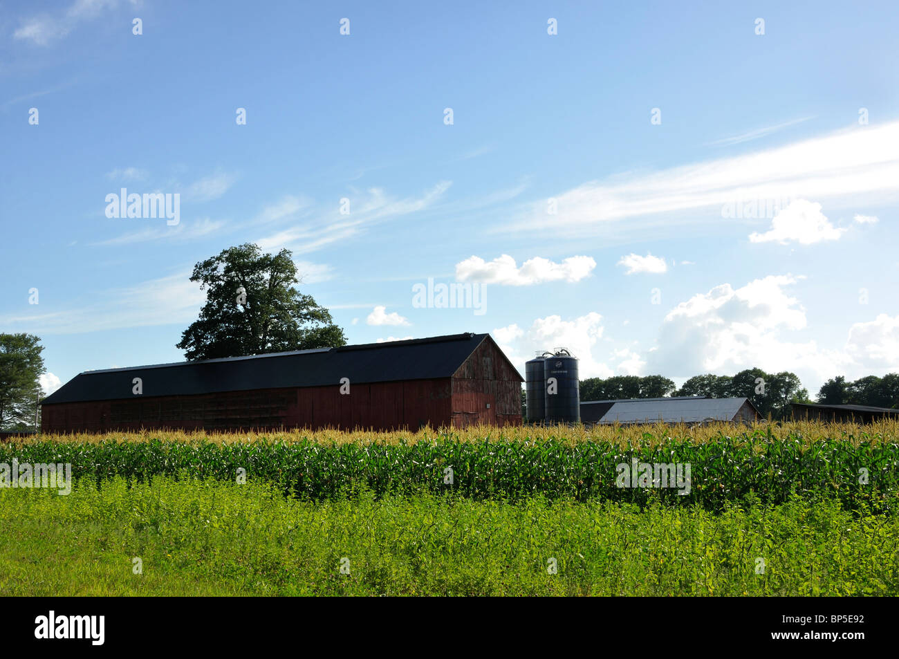 New England countryside, Connecticut, USA Stock Photo - Alamy