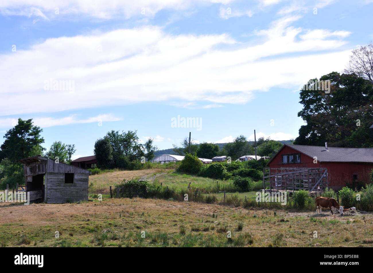 New England countryside, Connecticut, USA Stock Photo - Alamy