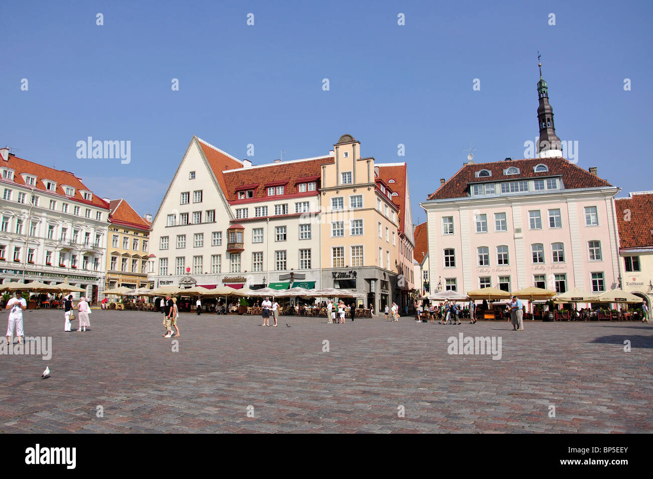 Town Hall Square, Old Town, Harju County, Republic of Estonia Stock ...