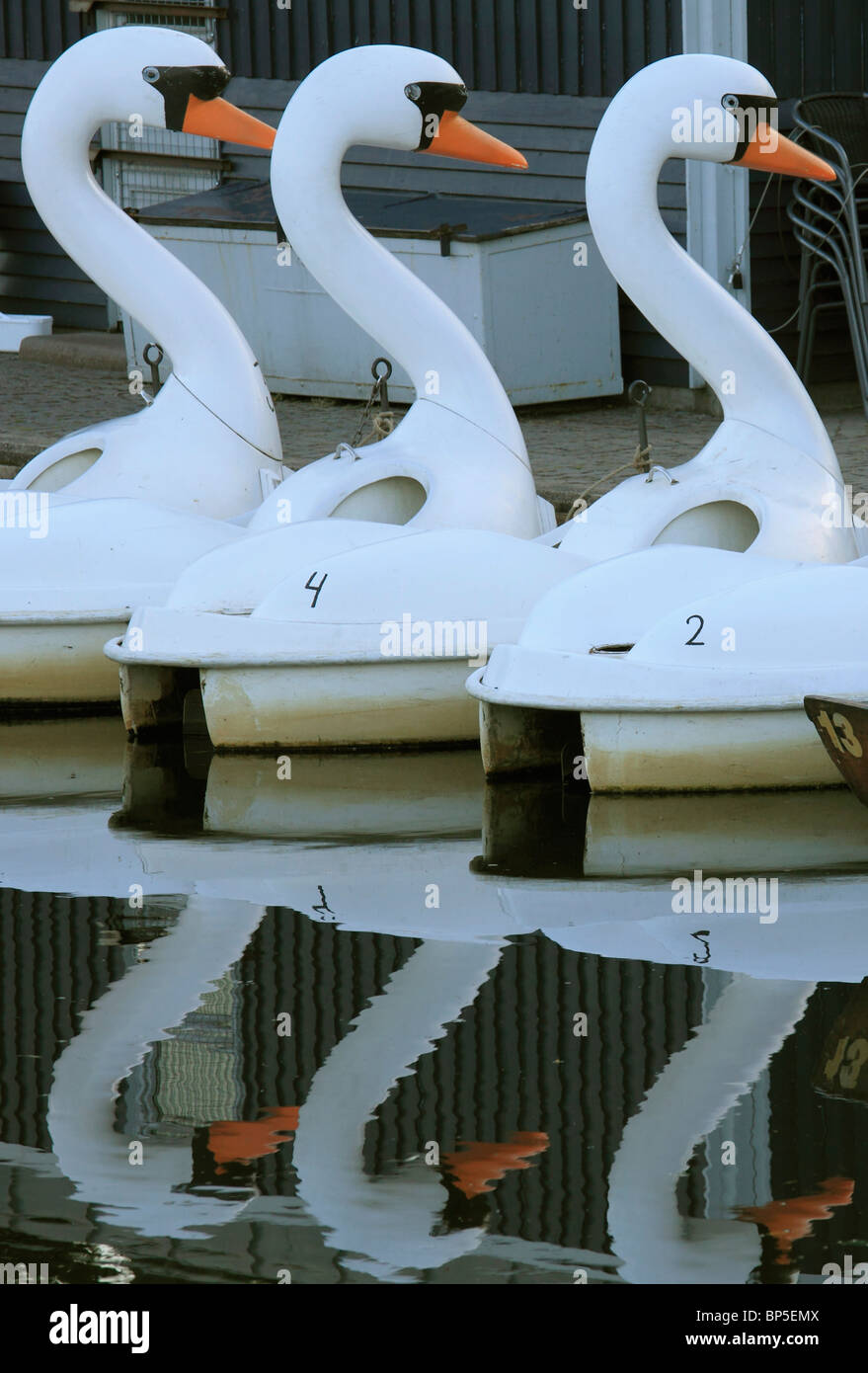 Swan boats hi-res stock photography and images - Alamy