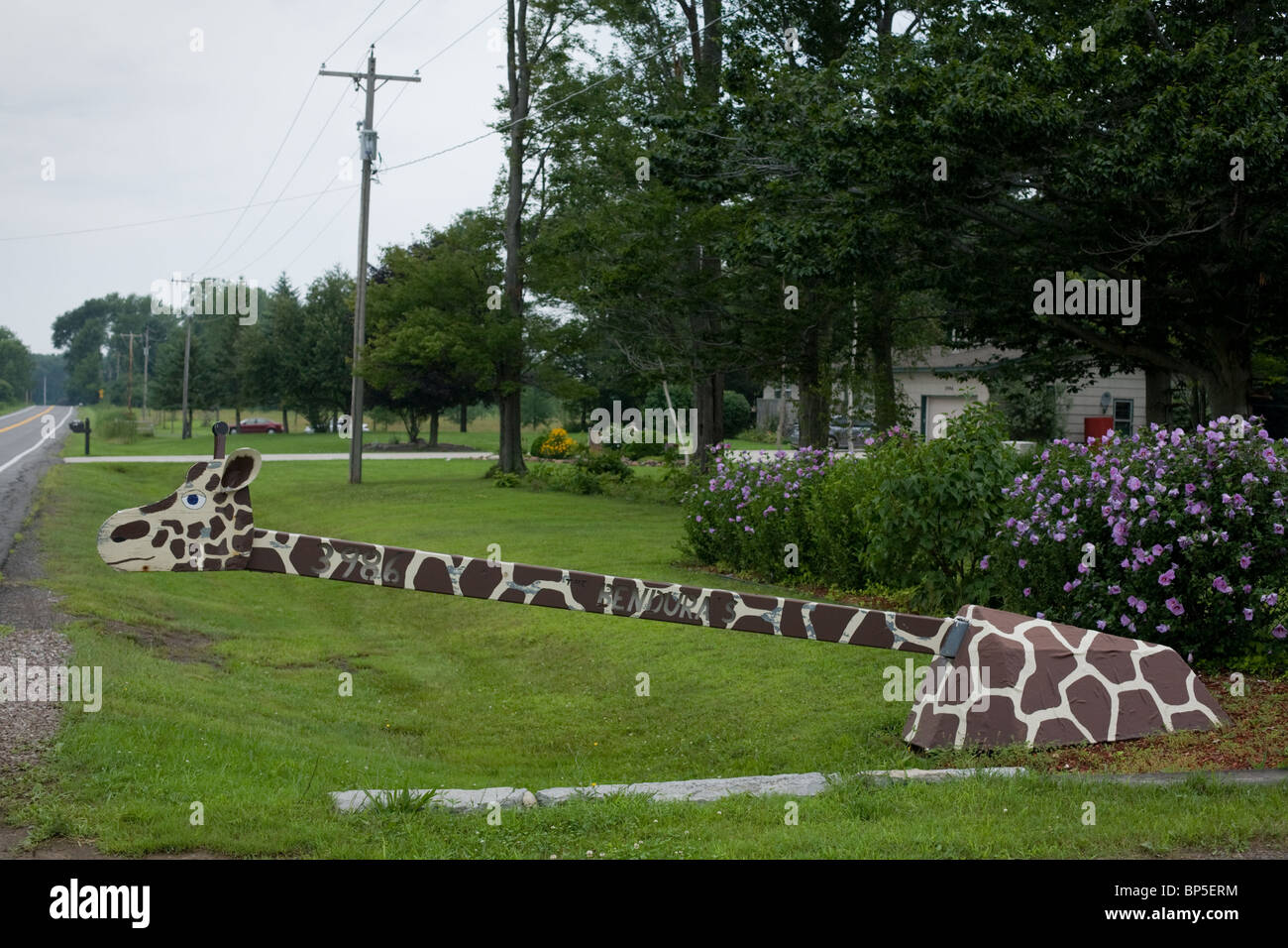 Giraffe mailbox near Oneida Lake, central New York State Stock Photo ...