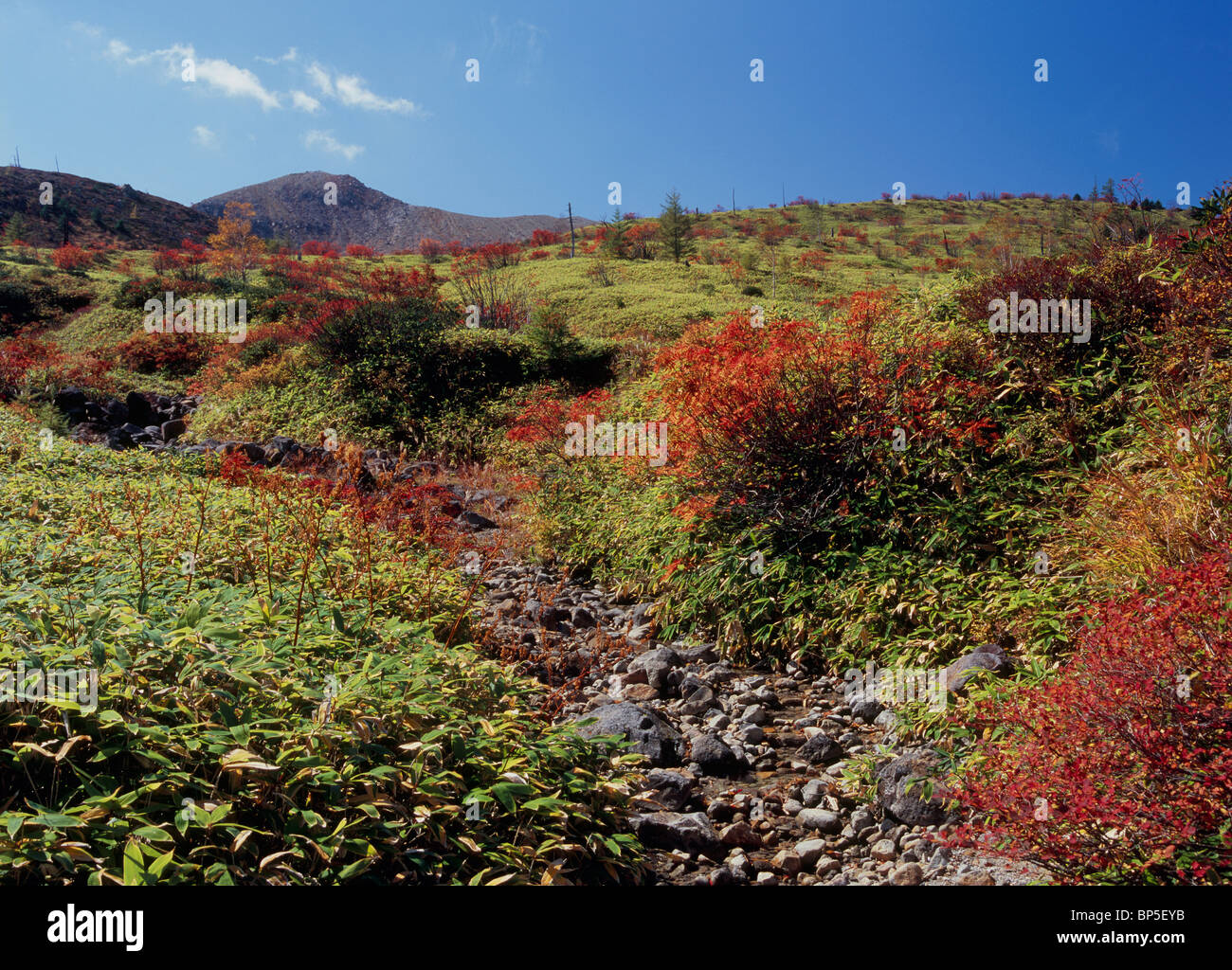 Mount Shirane, Kusatsu, Agatsuma, Gunma, Japan Stock Photo - Alamy