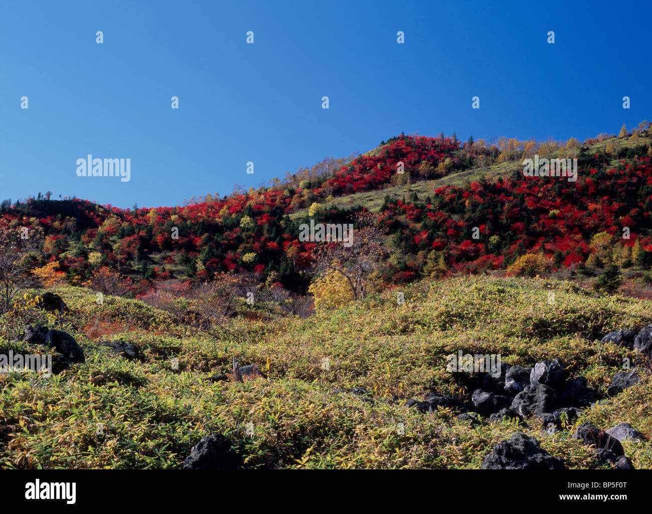 Mount Shirane, Kusatsu, Agatsuma, Gunma, Japan Stock Photo - Alamy