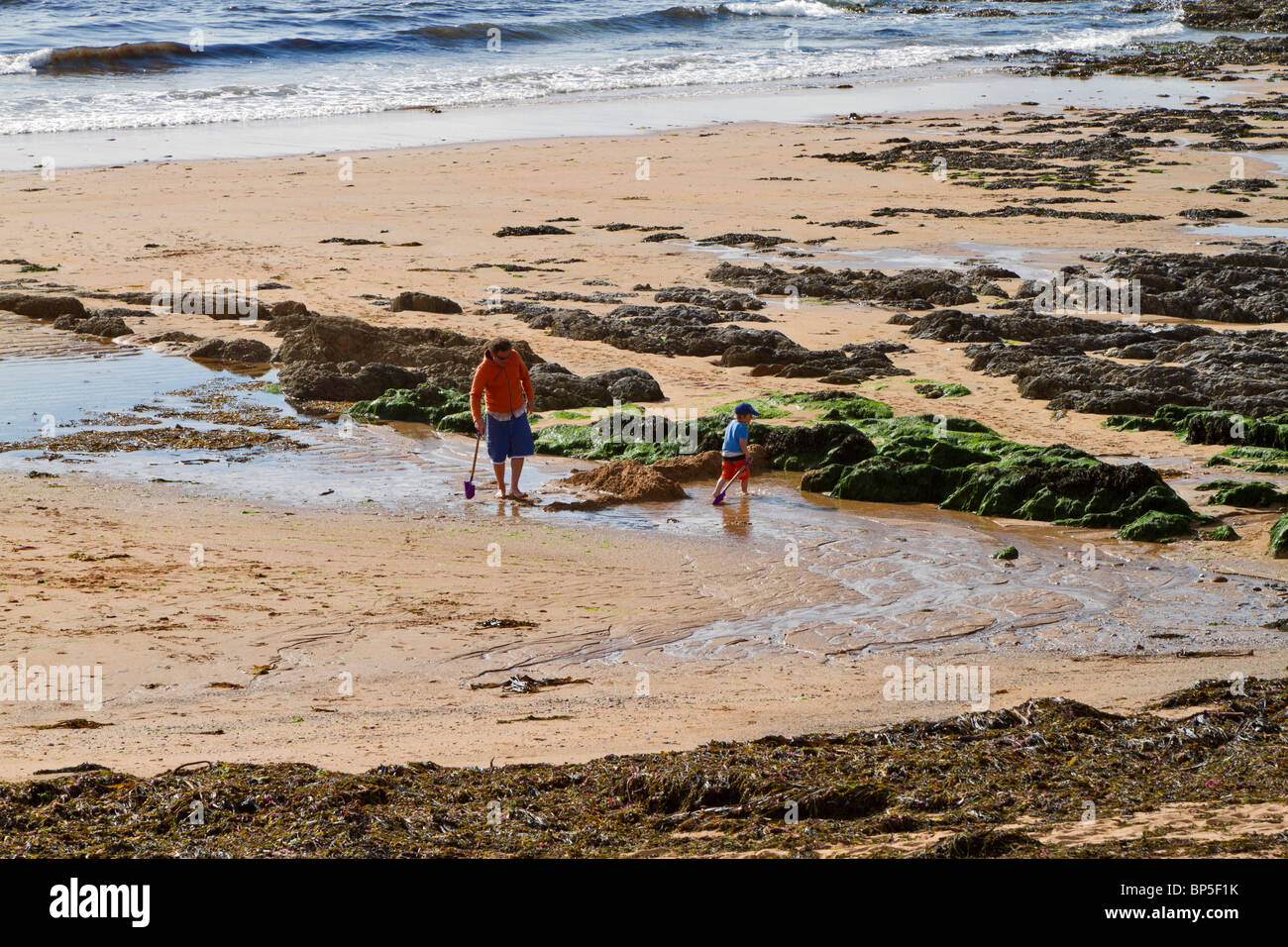 On beach hope cove in hi-res stock photography and images - Alamy