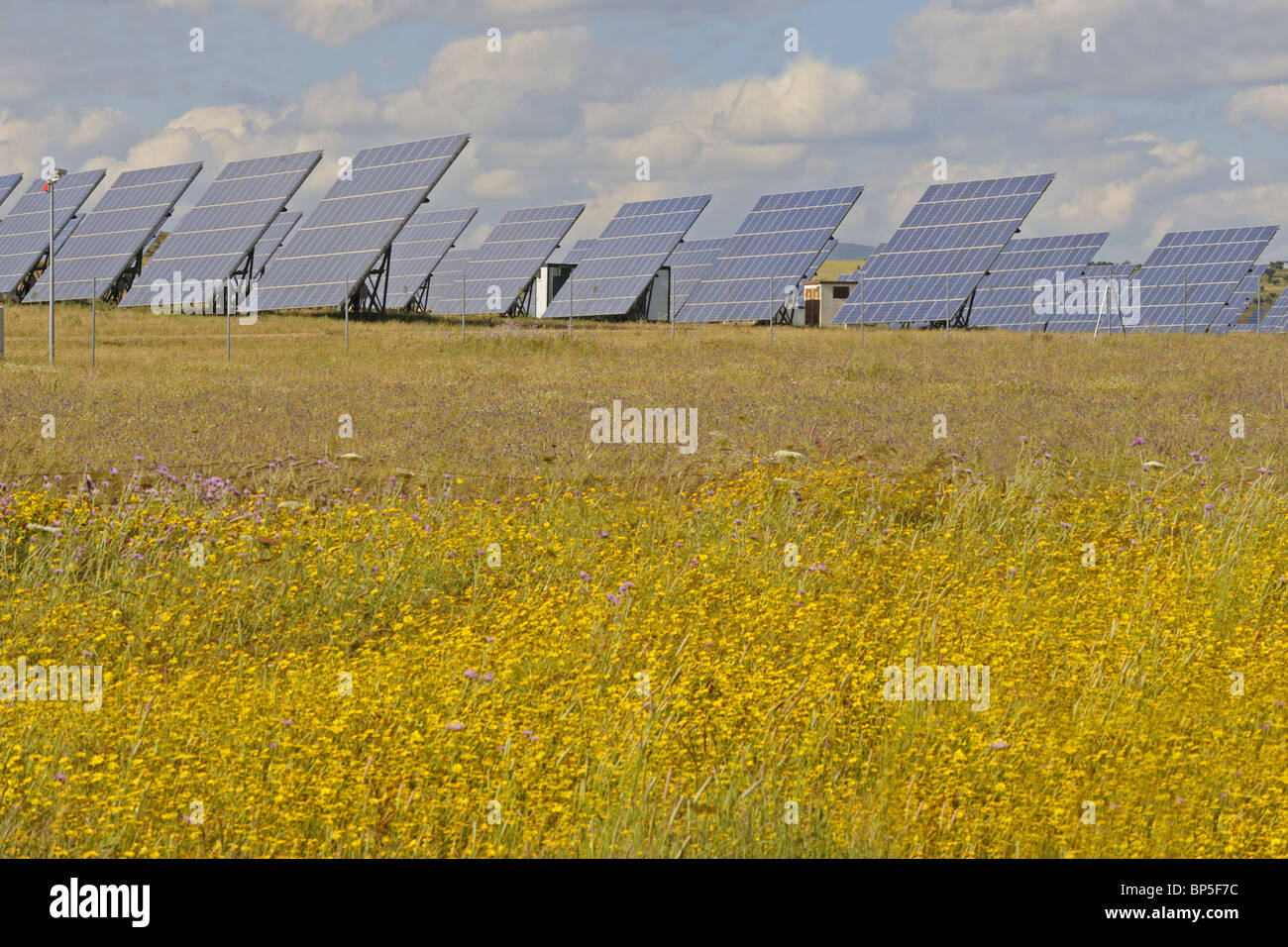 Solar panels and flowers hi-res stock photography and images - Alamy