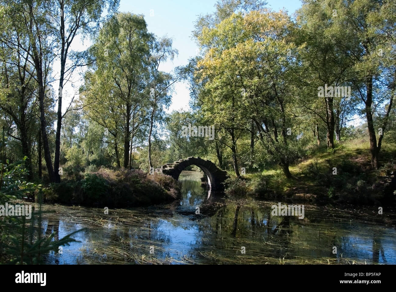 The Ivy Bridge at the Chinese Ponds Castle Toward Estate Corlarach ...