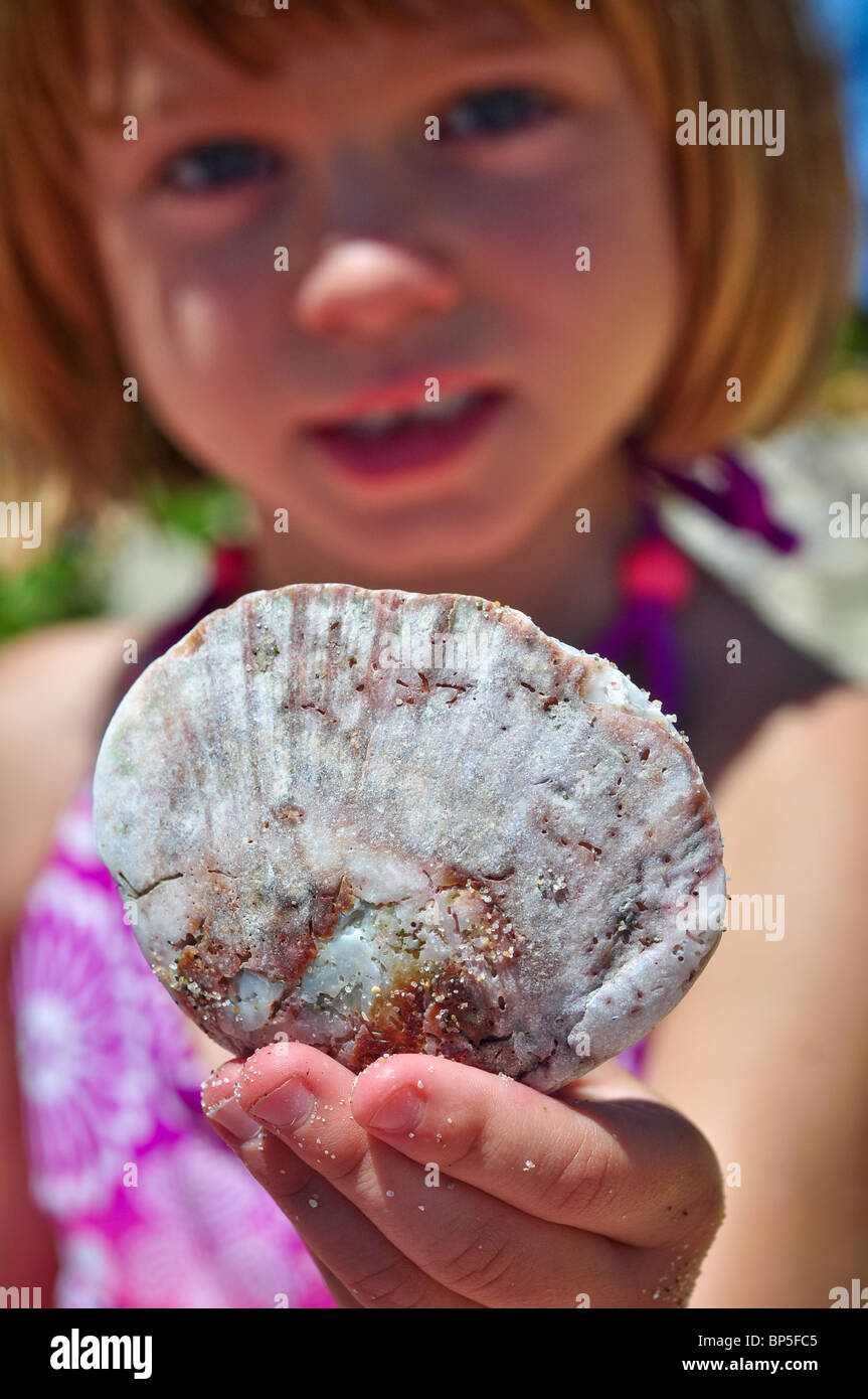 Young caucasian girl collecting shells at a Southern California beach ...
