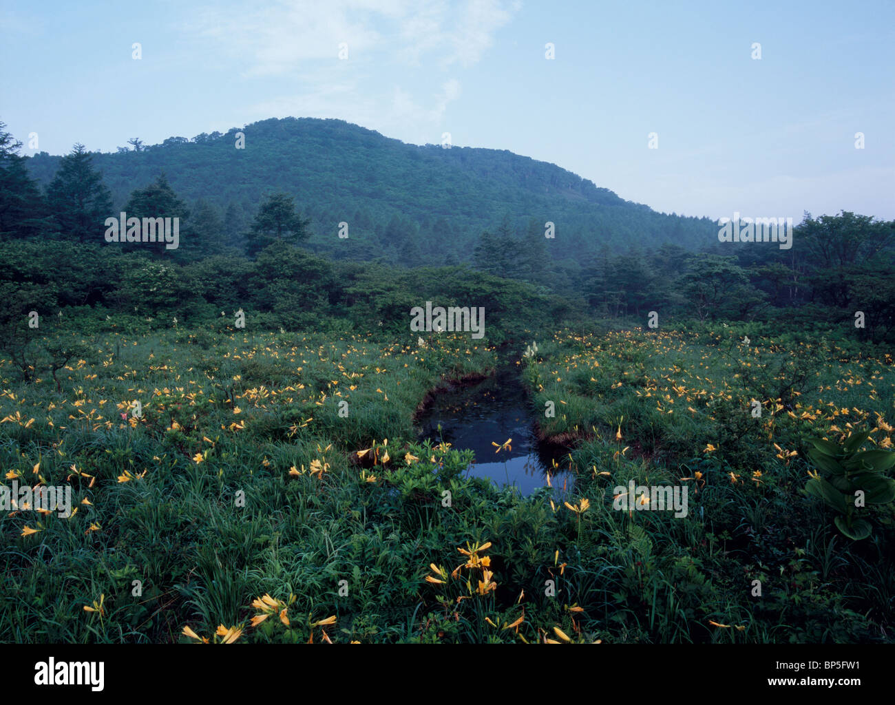 Nasushiobara hi-res stock photography and images - Alamy