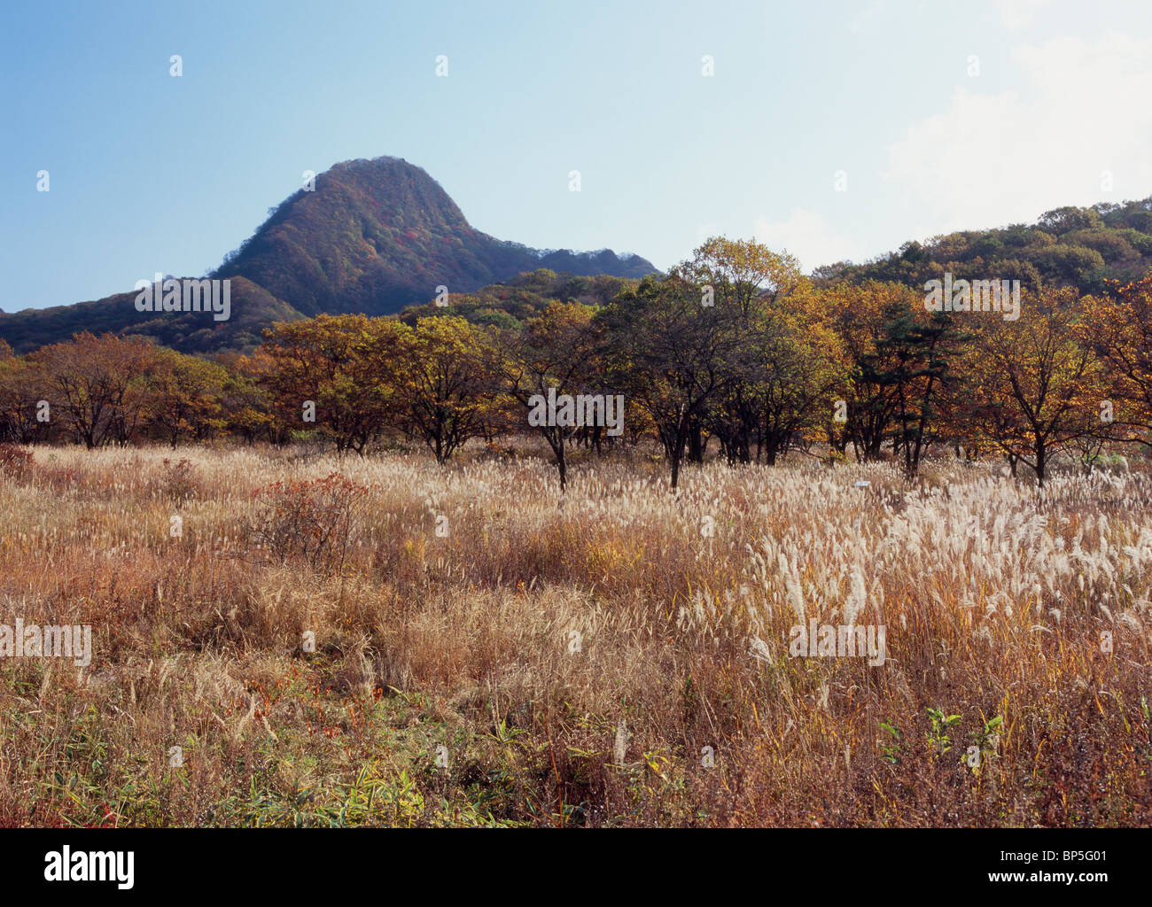 Mount Haruna, Takasaki, Gunma, Japan Stock Photo - Alamy