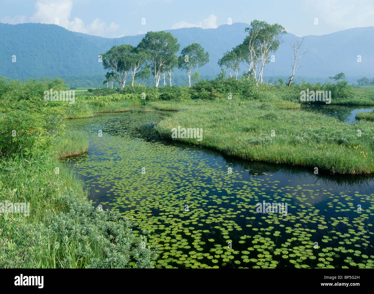 Oze national park japan hi-res stock photography and images - Alamy