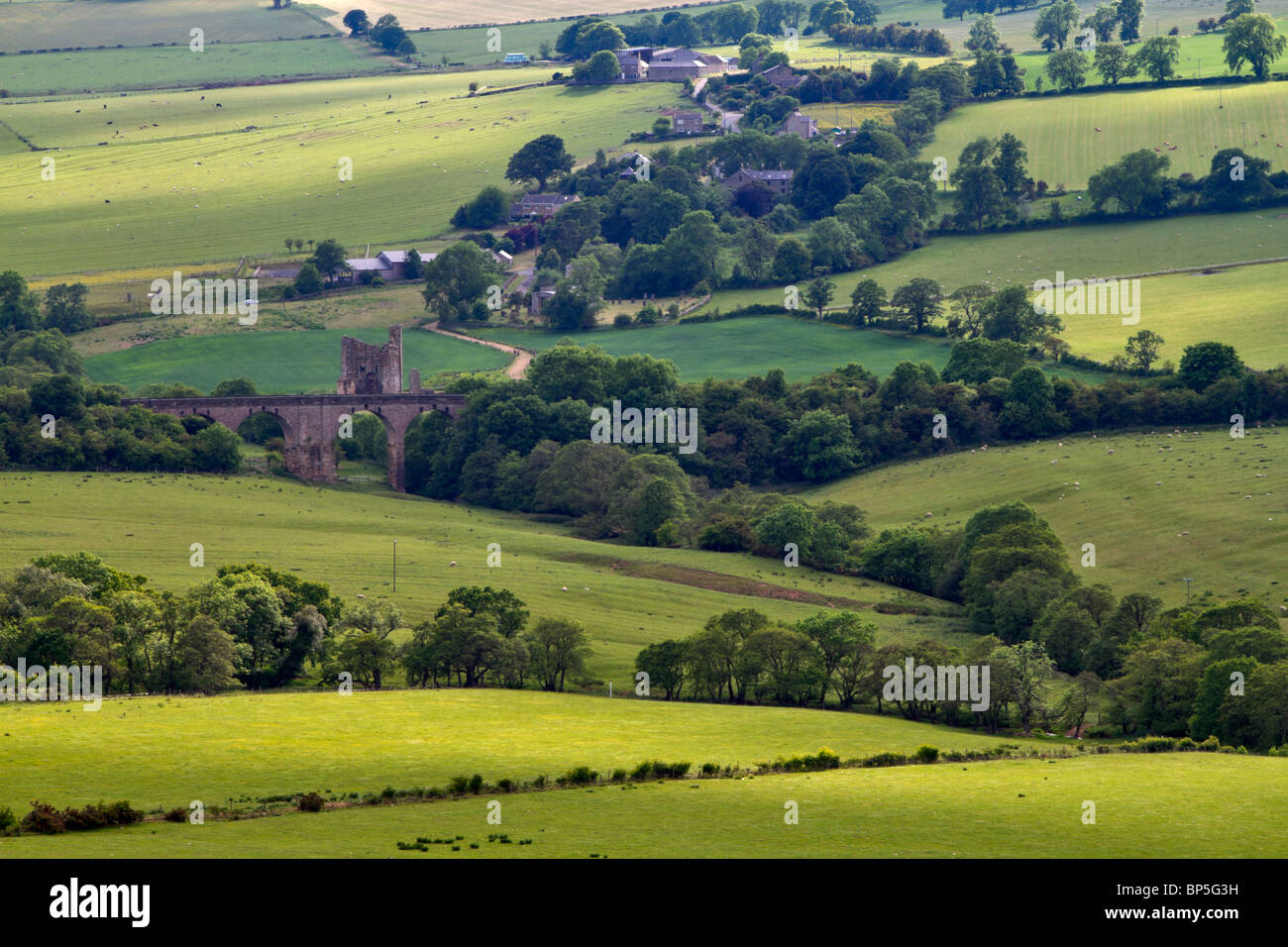 Northumberland countryside hi-res stock photography and images - Alamy