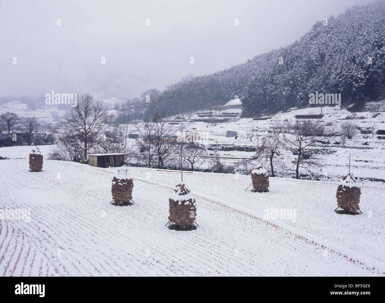 Asuka japan hi-res stock photography and images - Alamy