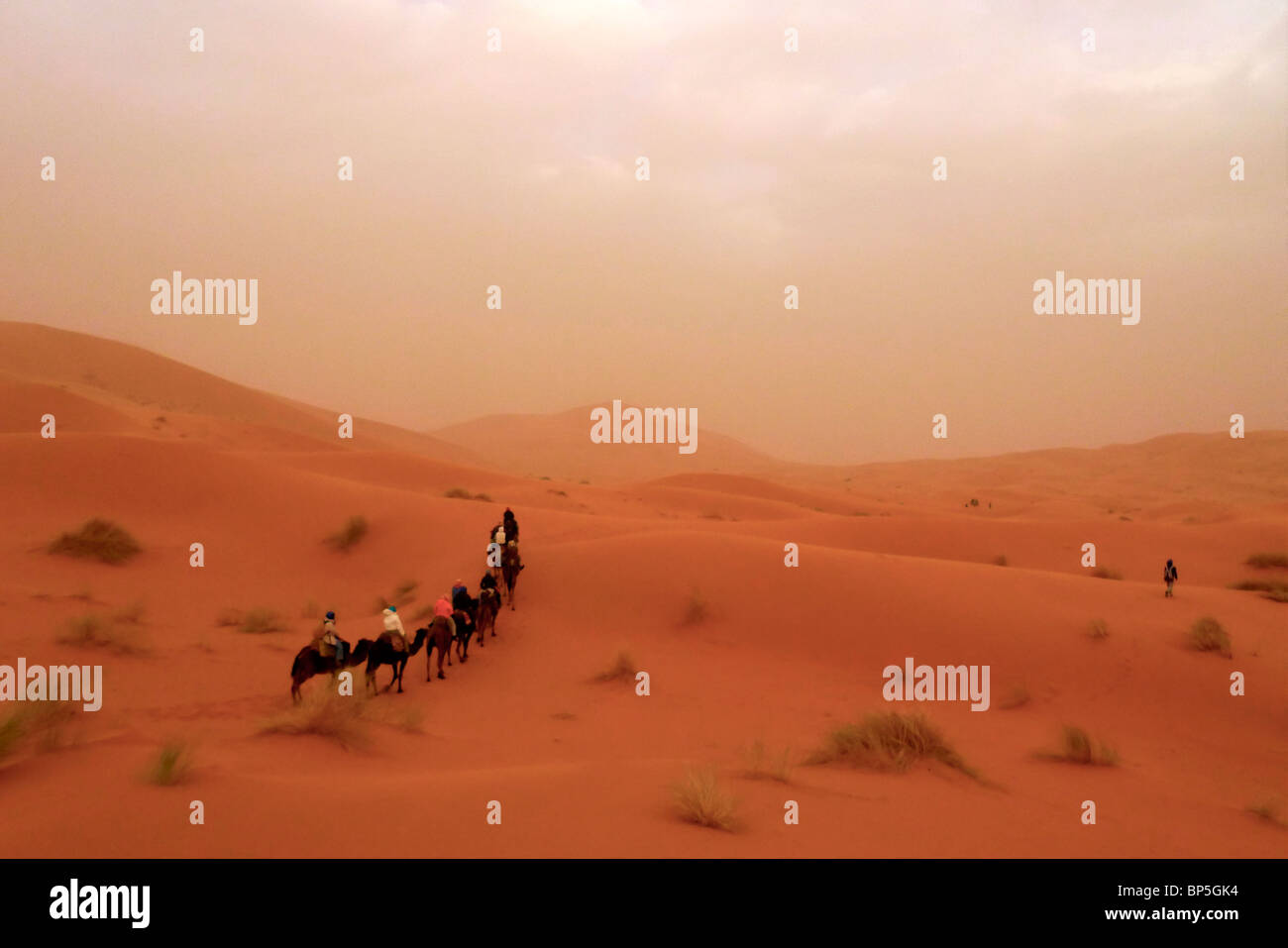 Sandstorm sahara hi-res stock photography and images - Alamy