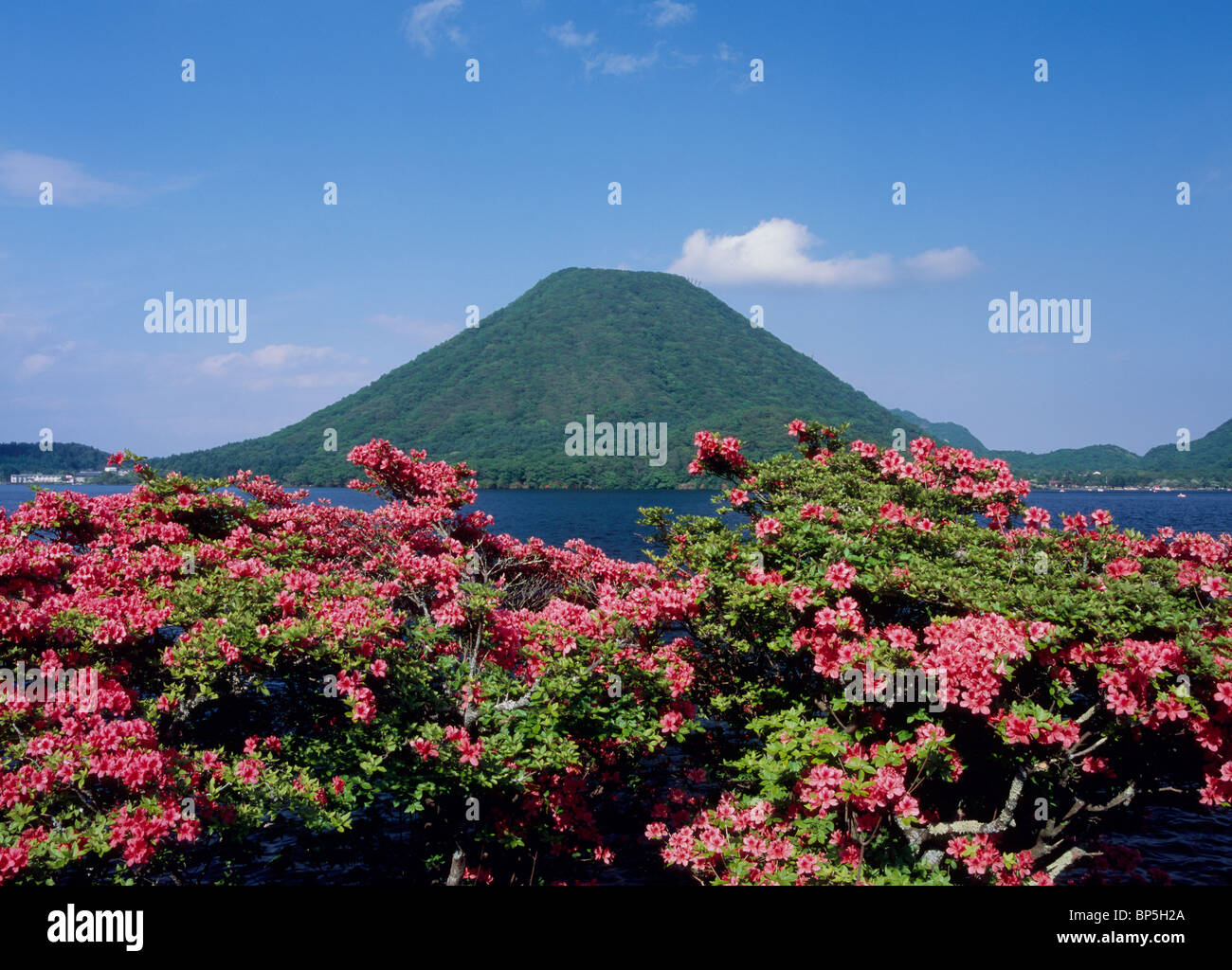 Takasaki japan hi-res stock photography and images - Alamy