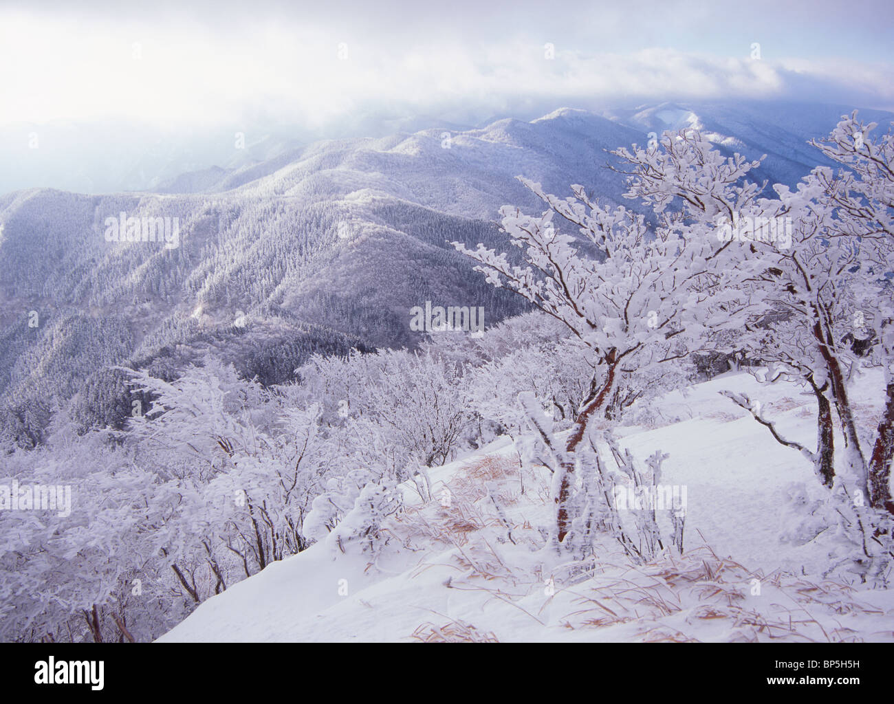 Yoshino japan hi-res stock photography and images - Alamy