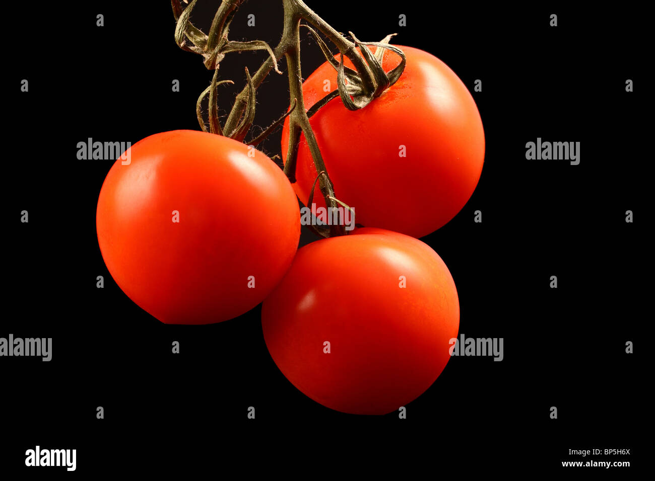 Three fresh ripe tomatoes hanging from above isolated on black Stock ...