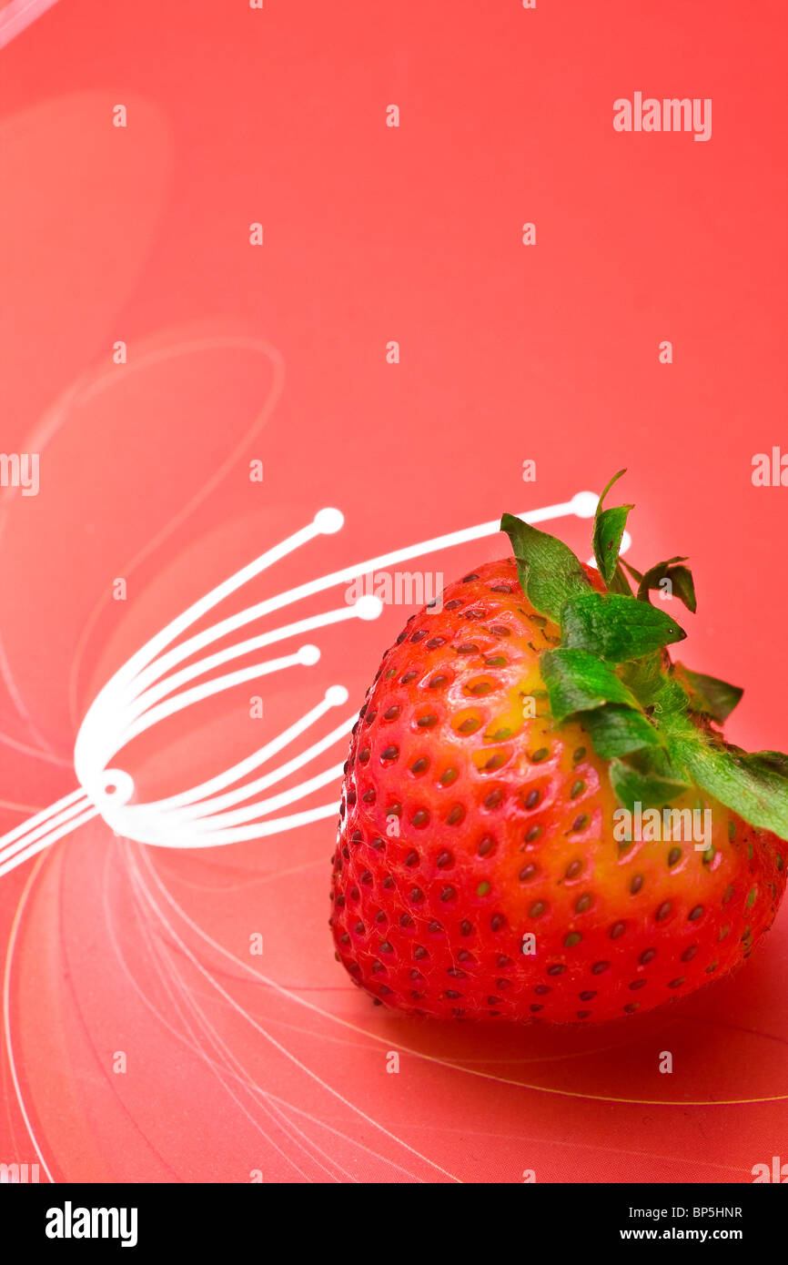 single fresh red strawberry on red background Stock Photo - Alamy