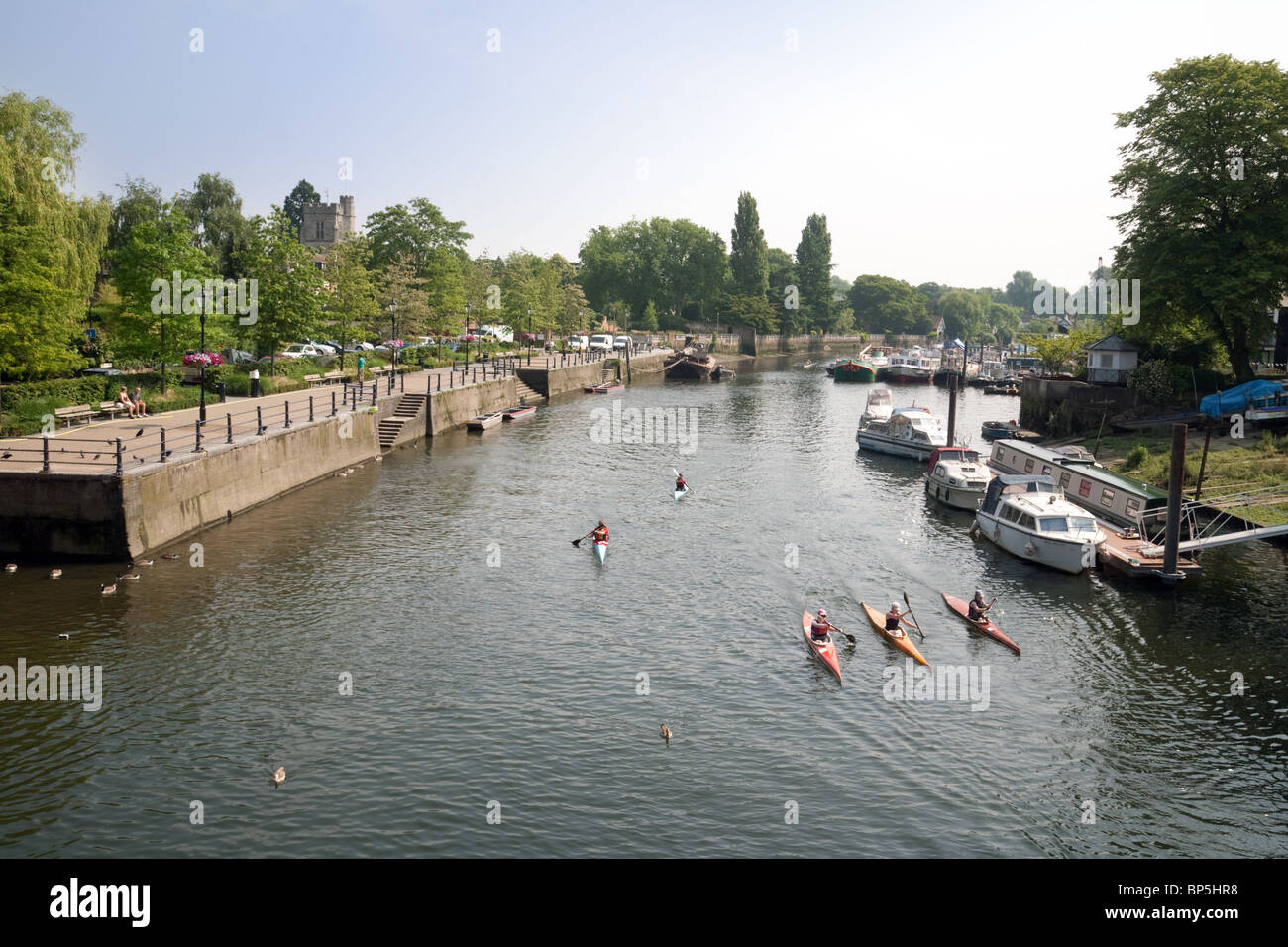 Canoeists on the River Thames at Eel Pie island, Twickenham, London UK ...