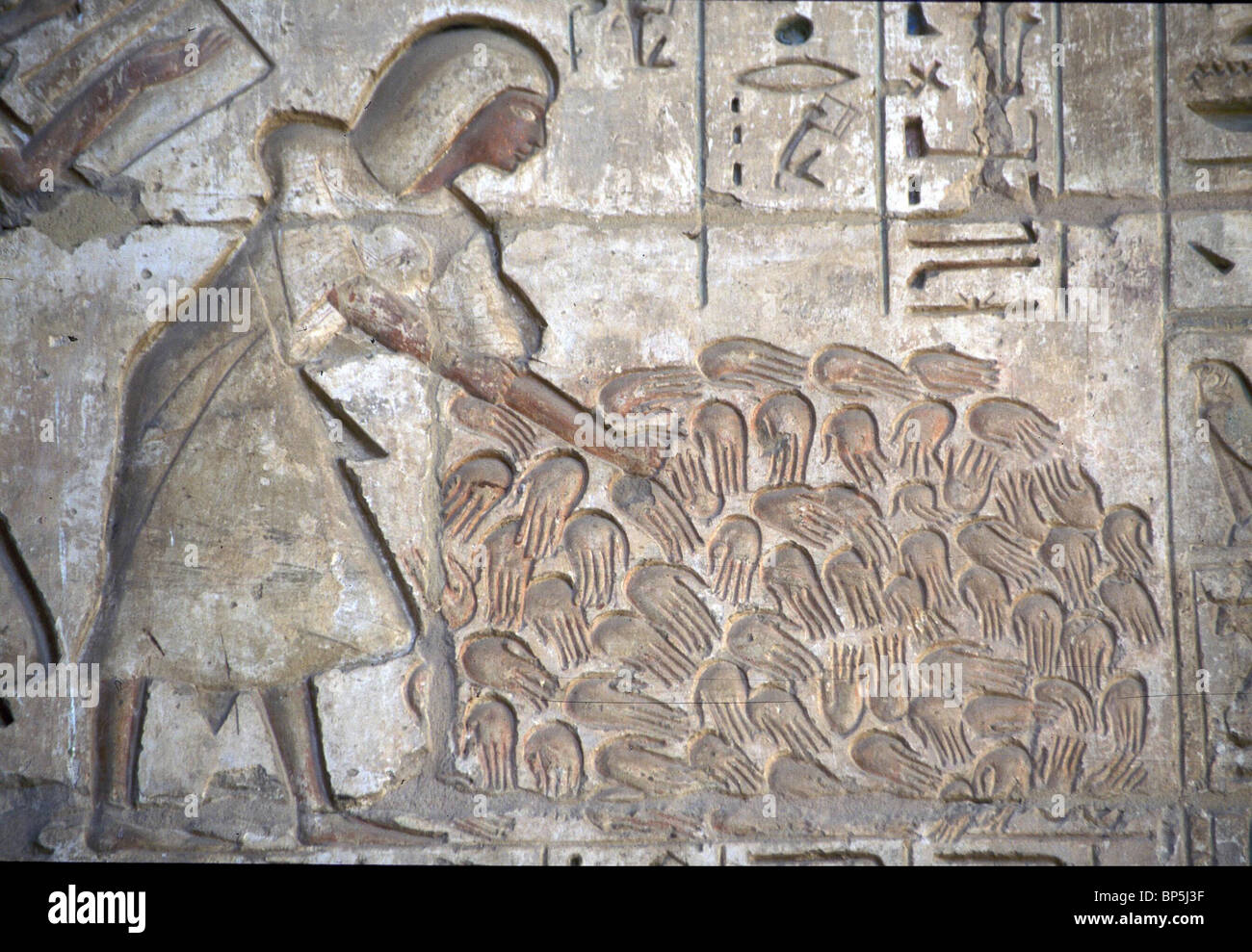 EGYPTIAN OFFICIAL COUNTING THE SEVERED HANDS OF THE ENEMY DEAD IN ORDER ...