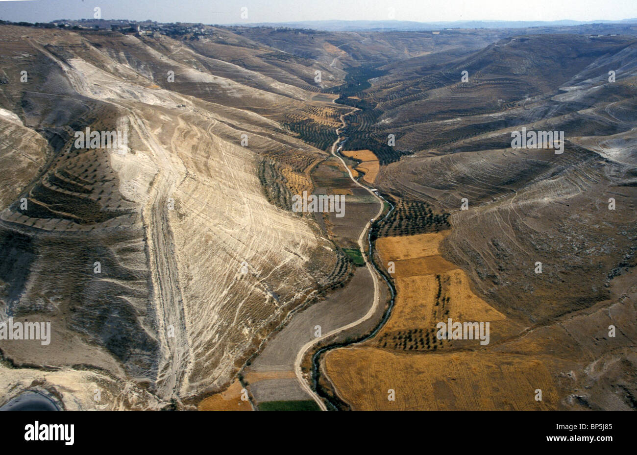 3656. JUDEA - COUNTRYSIDE BETWEEN BETLECHEM AND HEBRON WITH ARAB ...