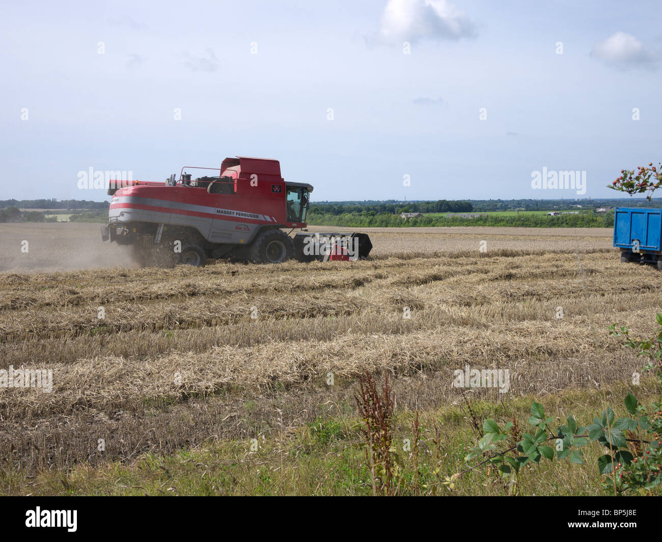 Gathering wheat hi-res stock photography and images - Alamy