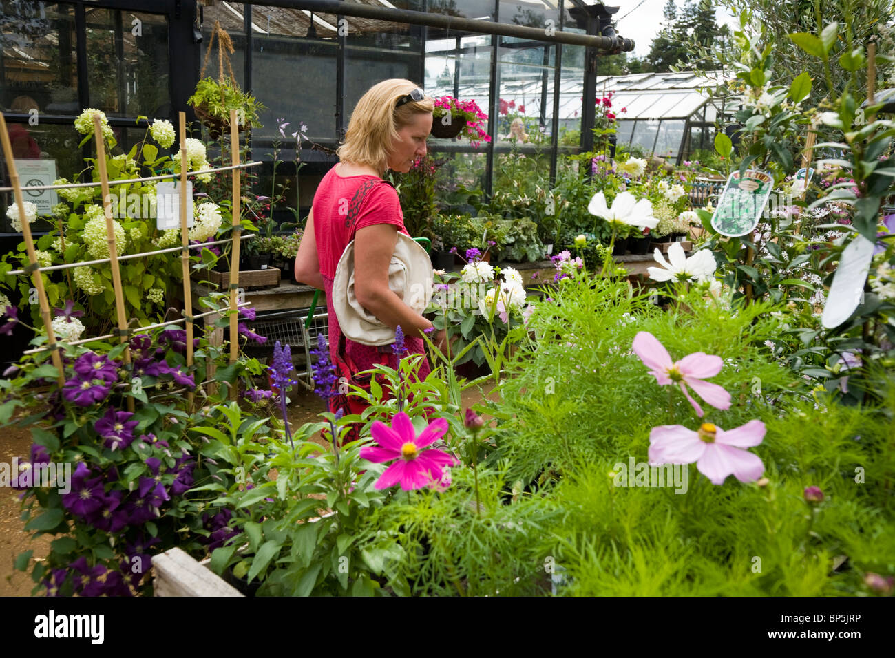 Woman / female / lady shopper customer / customers inspecting plants at ...