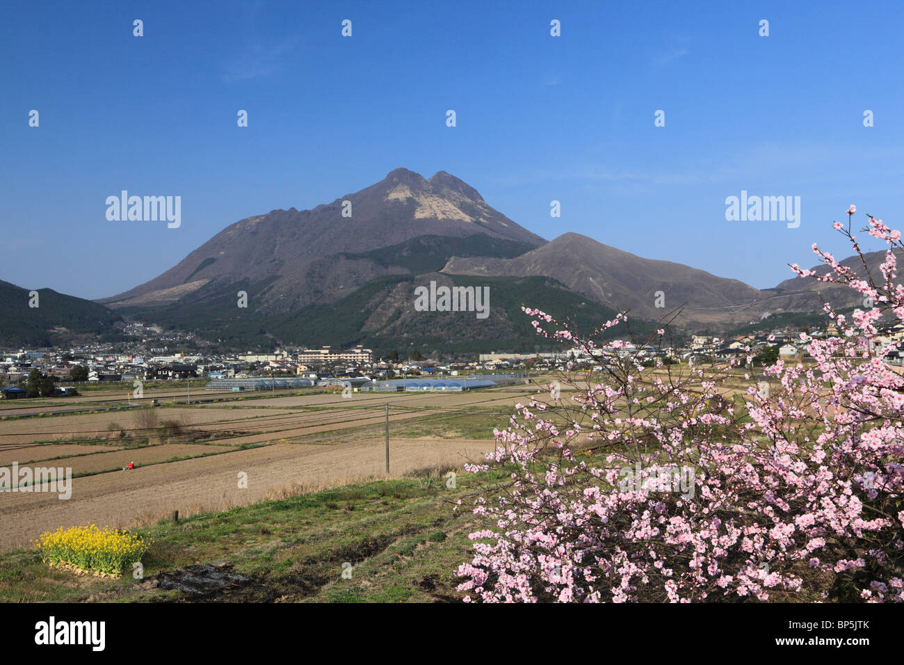 Mount Yufu, Yufu, Oita, Japan Stock Photo - Alamy