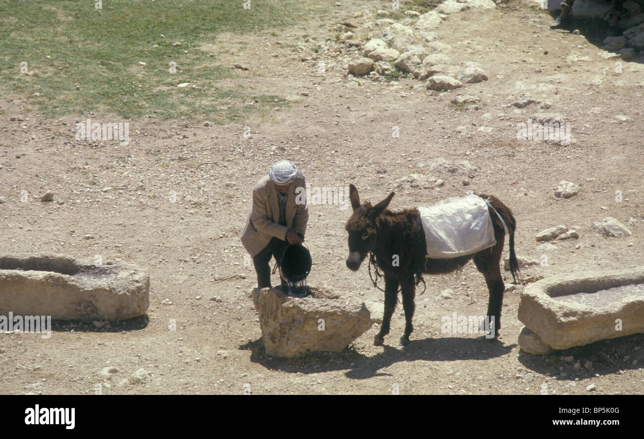 4418. BEDUIN WATERING HIS DONKEY FROM A DESERT WELL AND AN ANCIENT ...