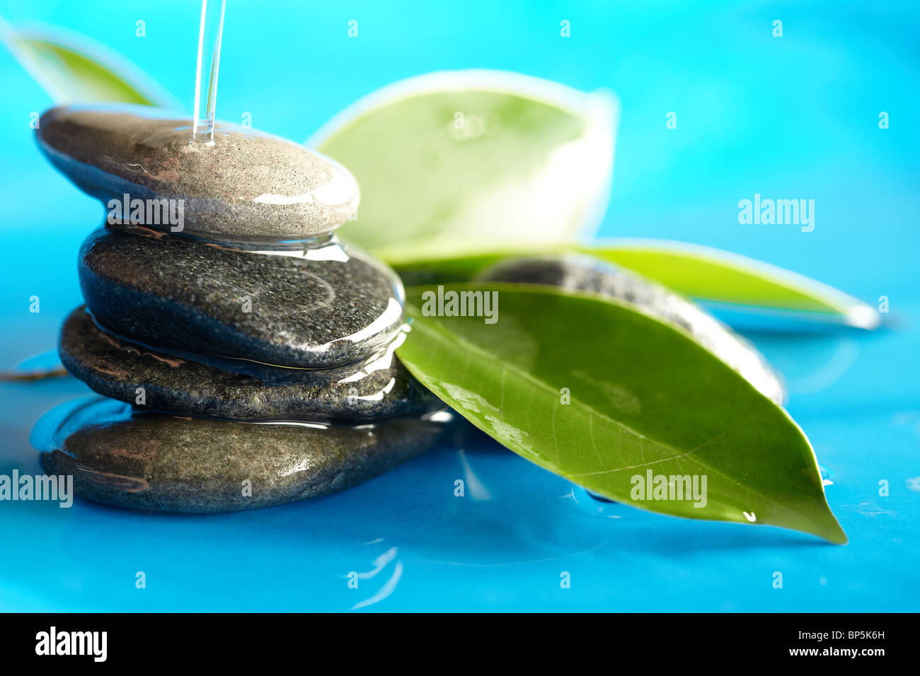 Water dripping, leaf Stock Photo - Alamy