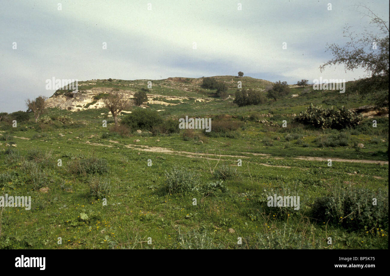 Gath of the philistines hi-res stock photography and images - Alamy