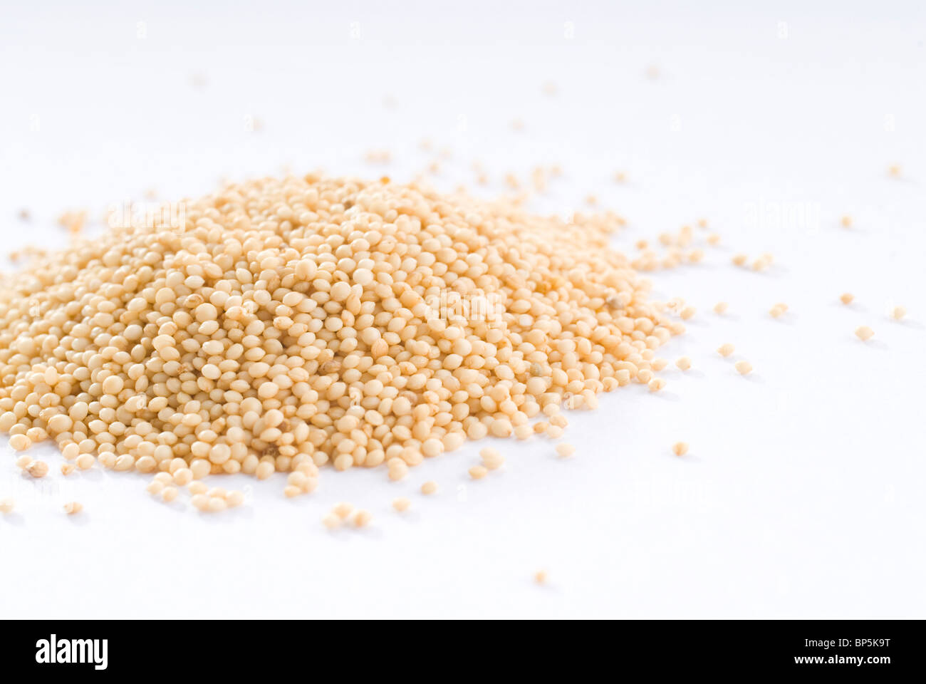 pile of amaranth seeds,amaranthus cutout Stock Photo - Alamy