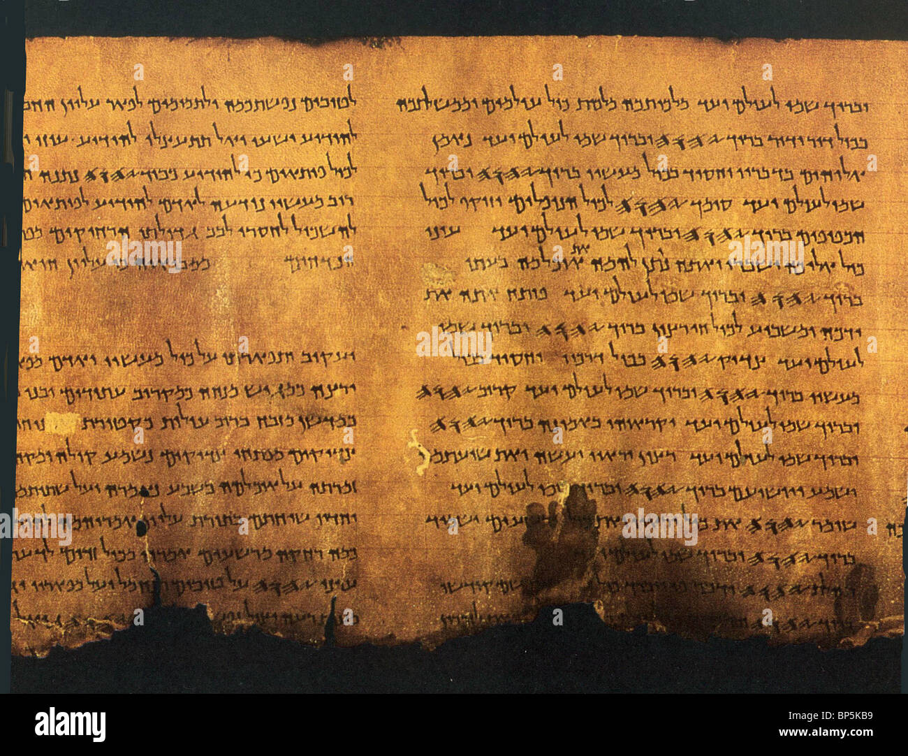 'PSALMS SCROLL' FROM QUMRAN CAVE 11 THE SCROLL CONTAINS A LITURGICAL ...